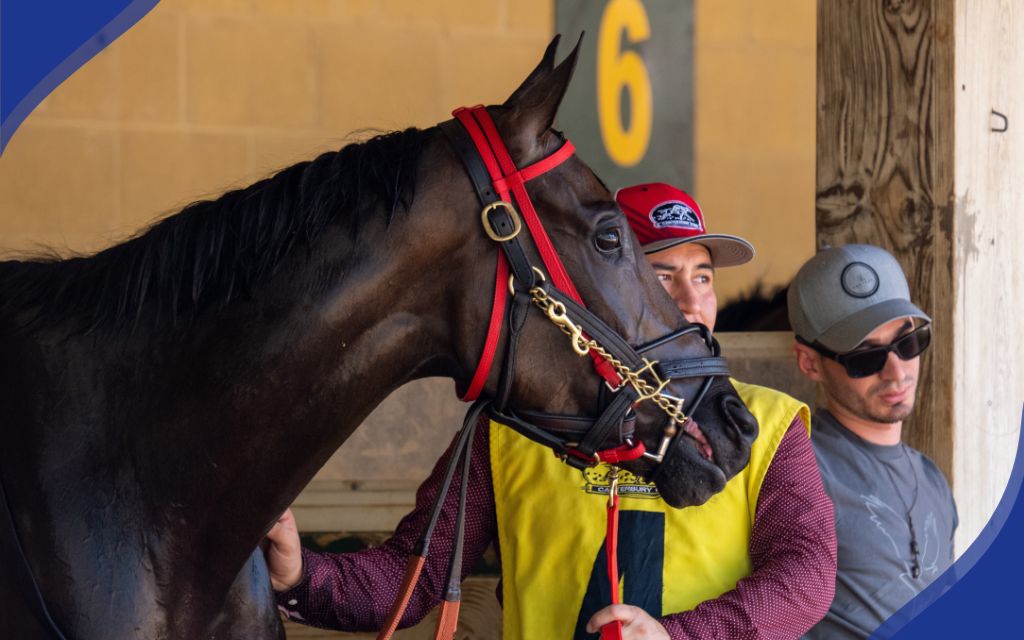 Breeders': Tito's Calling overcomes pace | Sports Betting Sites